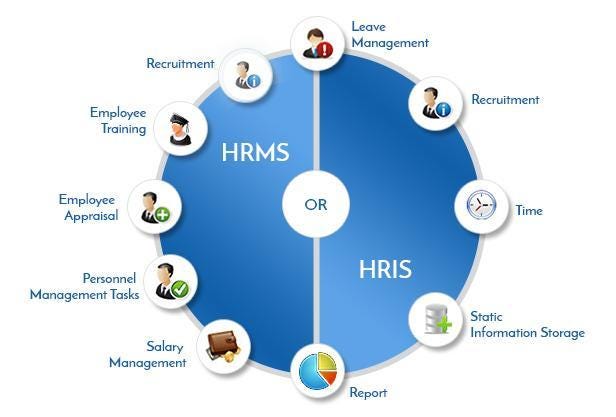 Power Of Decibel HRMS: Key Features And Benefits