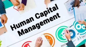 Human Capital Management Solutions: Transforming Workforces